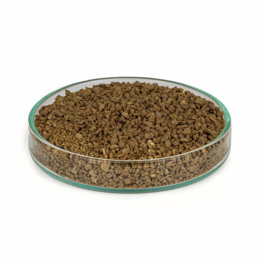 Belachan powder | FeedStimulants