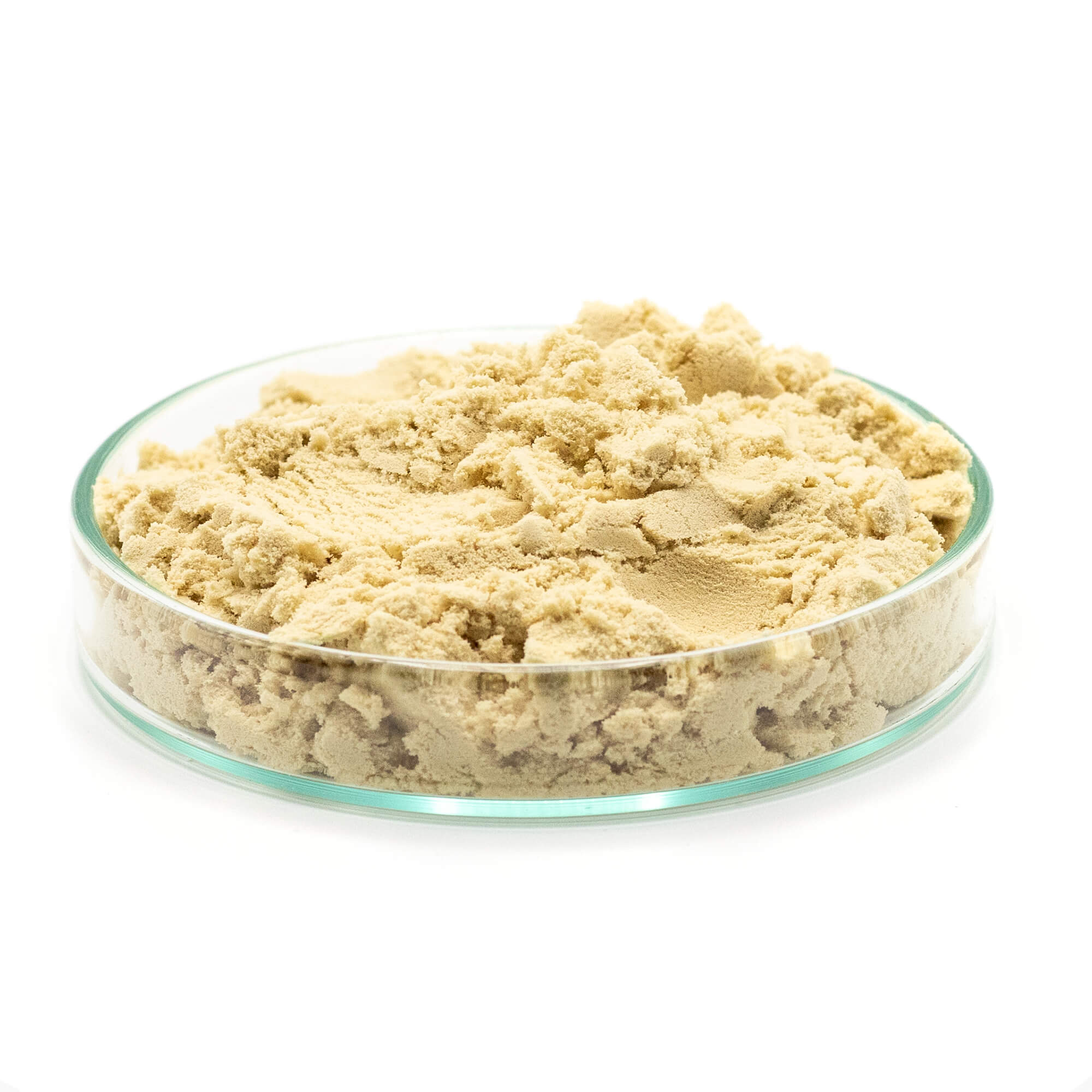 Blood Plasma powder | FeedStimulants